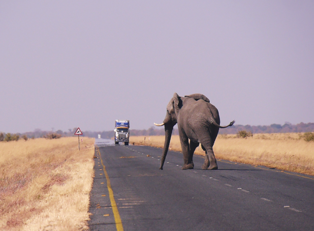 January 2017 – YourBotswana